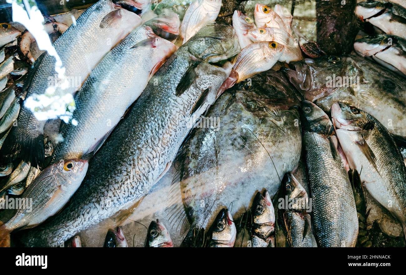 Arrangement cooking different varieties fish hi-res stock photography and images - Alamy