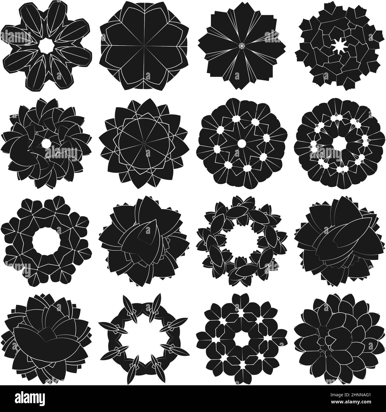 Flower asymmetry Cut Out Stock Images & Pictures - Alamy