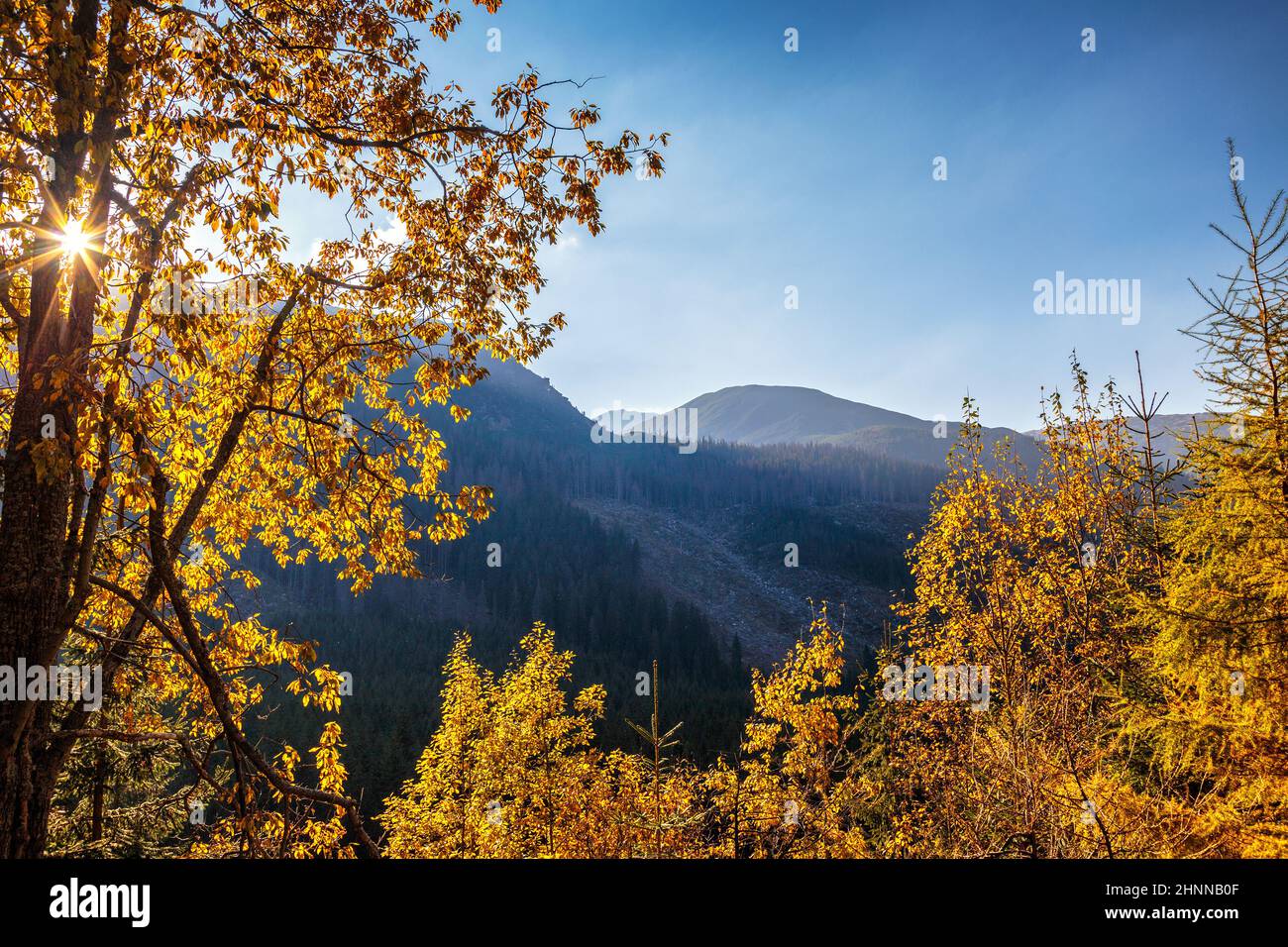 Mountain landscape at autumn, the area of Rohace in Tatras National ...