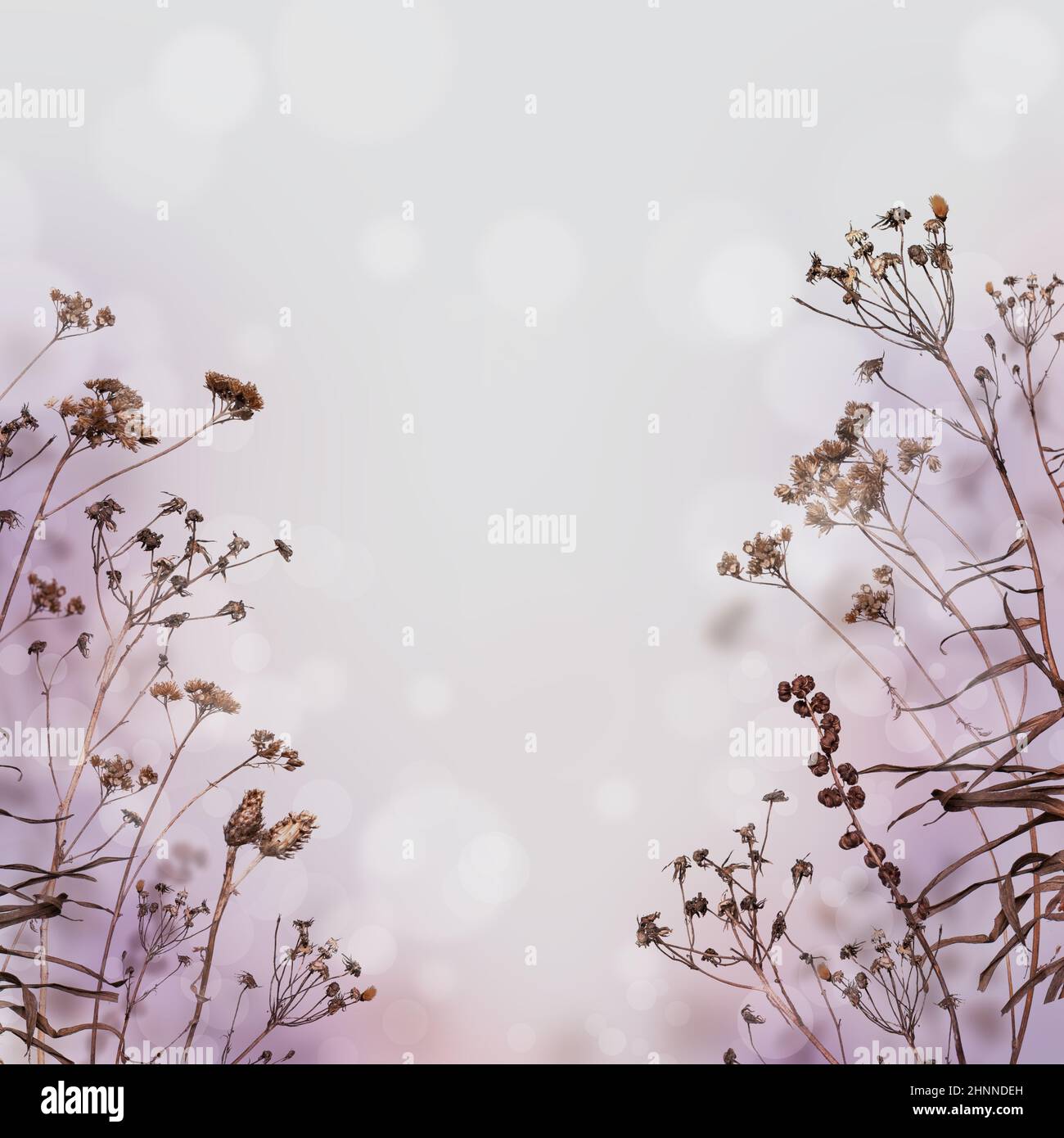 Nightly background hi-res stock photography and images - Alamy