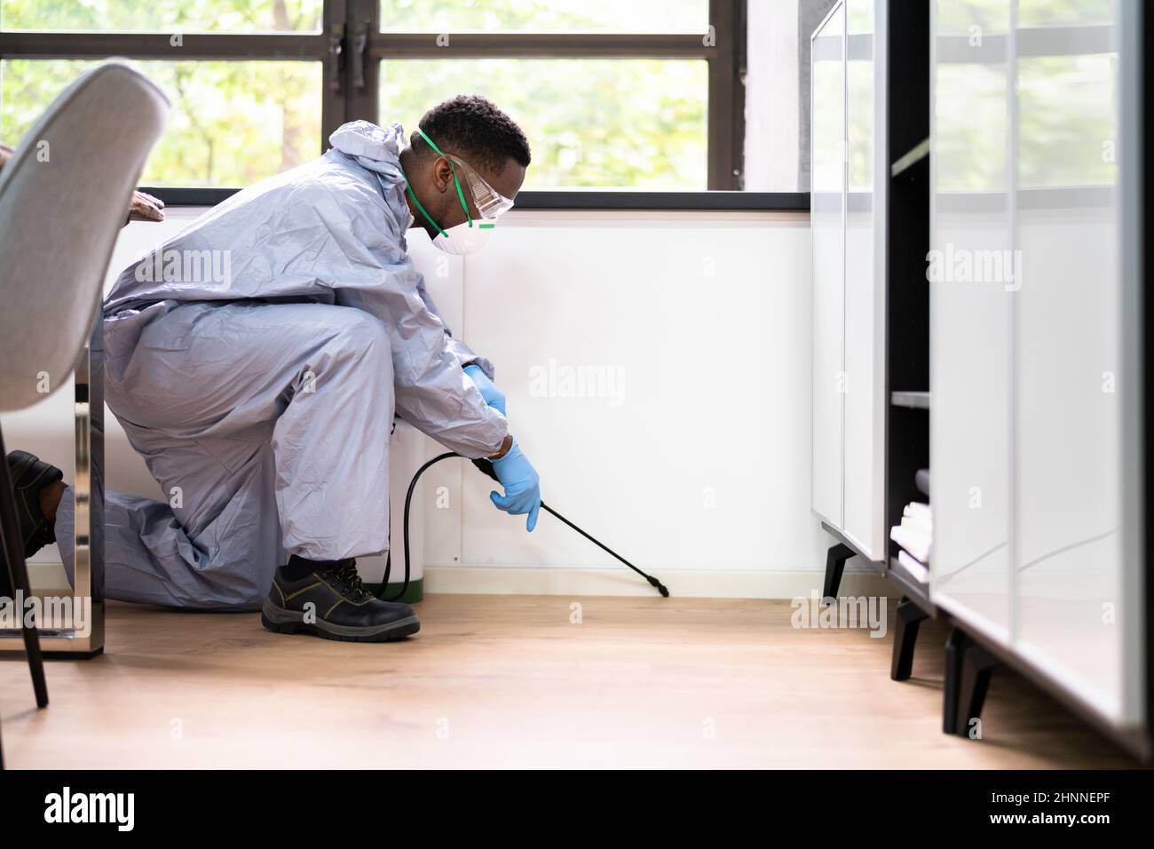 Furniture termites hi-res stock photography and images - Alamy