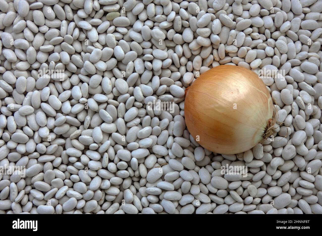 One large onion hi-res stock photography and images - Alamy