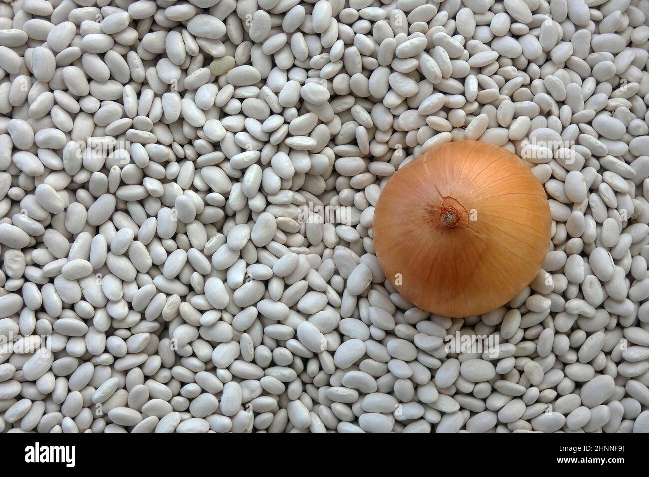 One large onion hi-res stock photography and images - Alamy