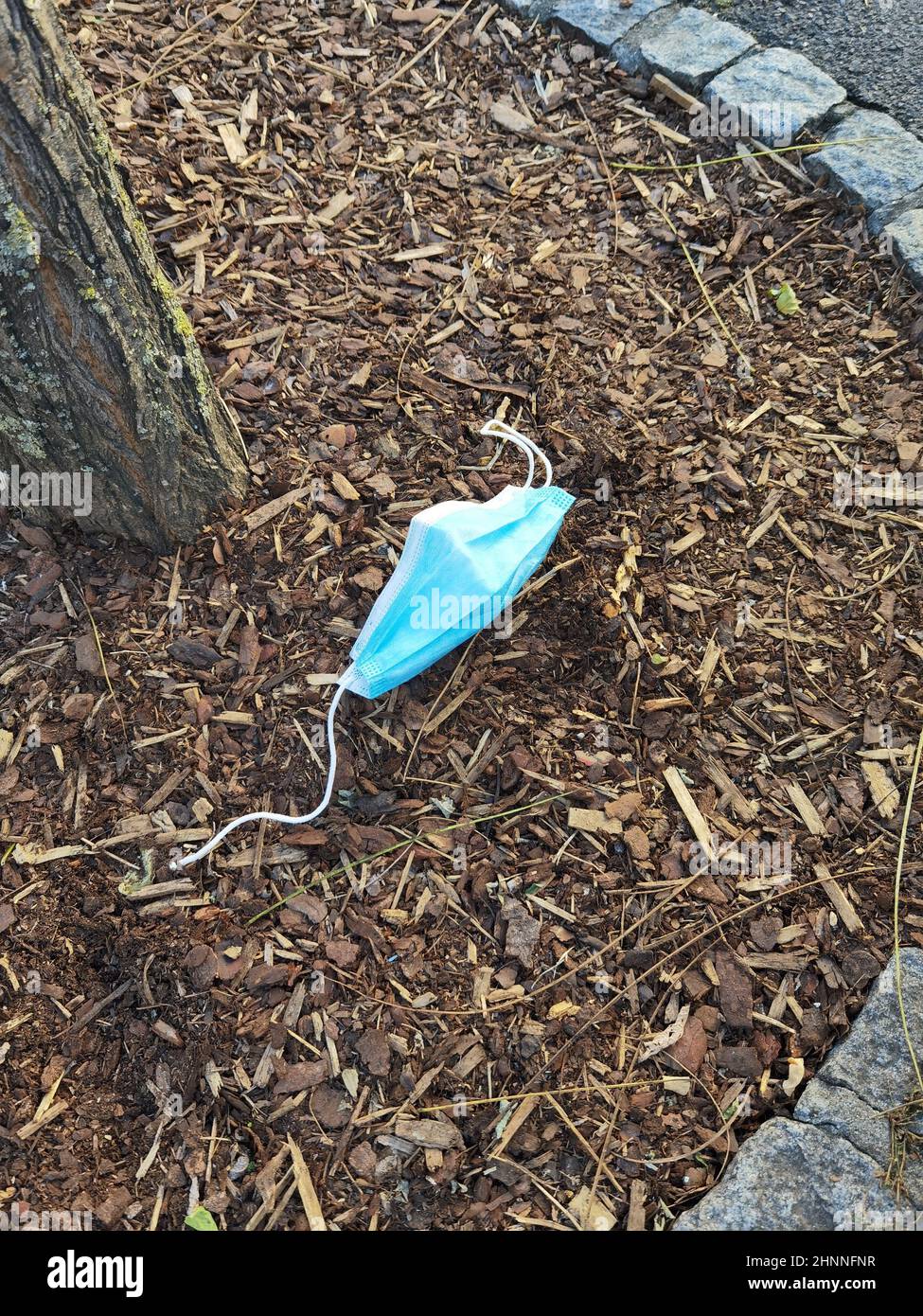 Pollution of urban areas from worn and discarded masks Stock Photo - Alamy