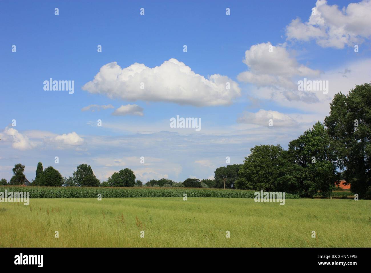 Landscape with corn field and cloud formation in the sky Stock Photo ...