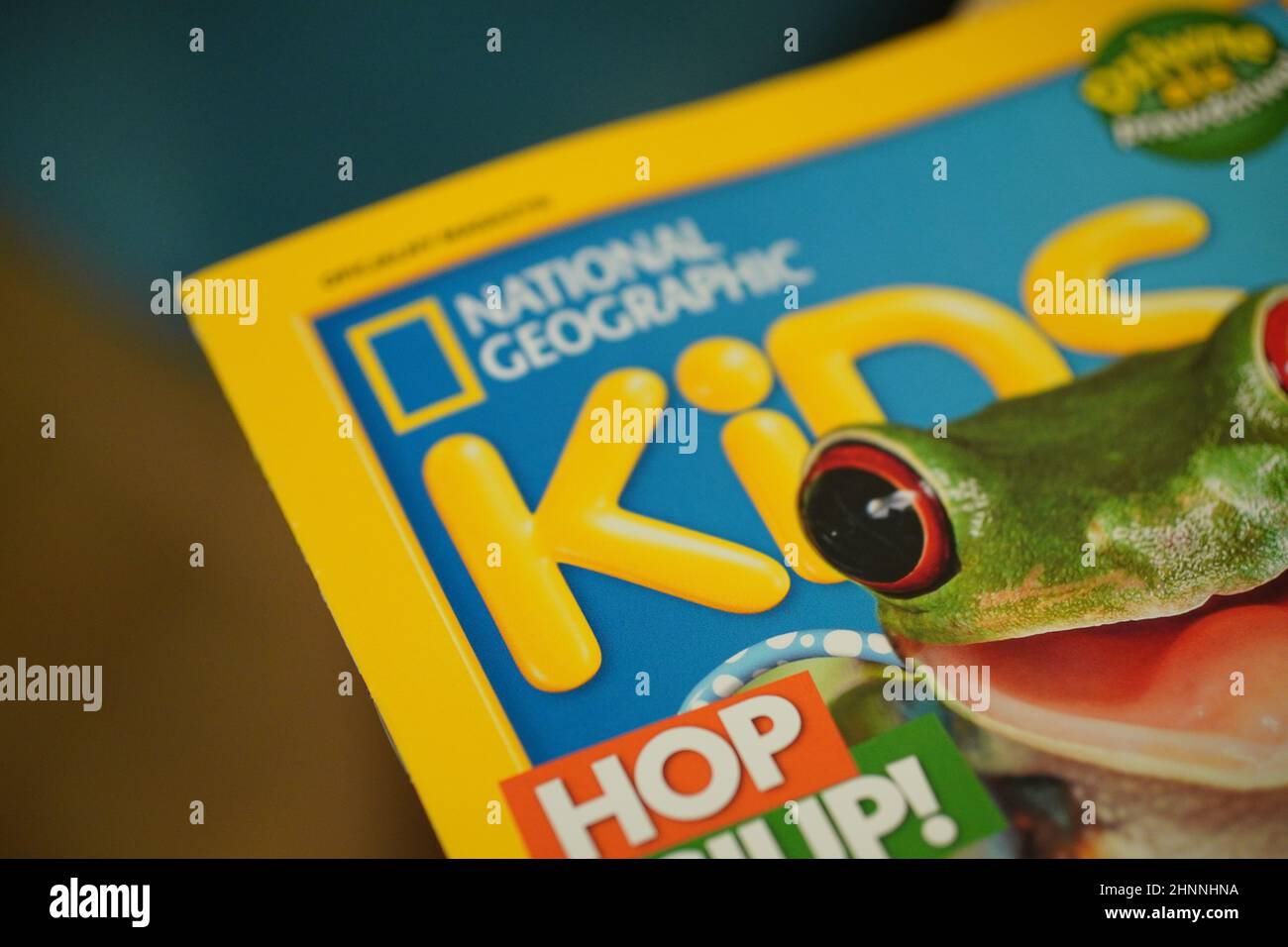 Closeup of a National Geographic magazine for kids with frog photo ...
