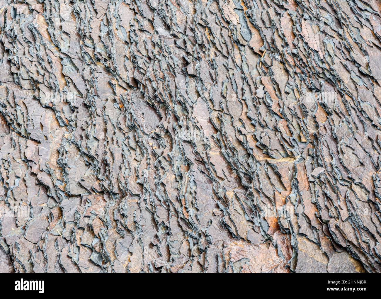shale rocks background and texture colored Stock Photo - Alamy