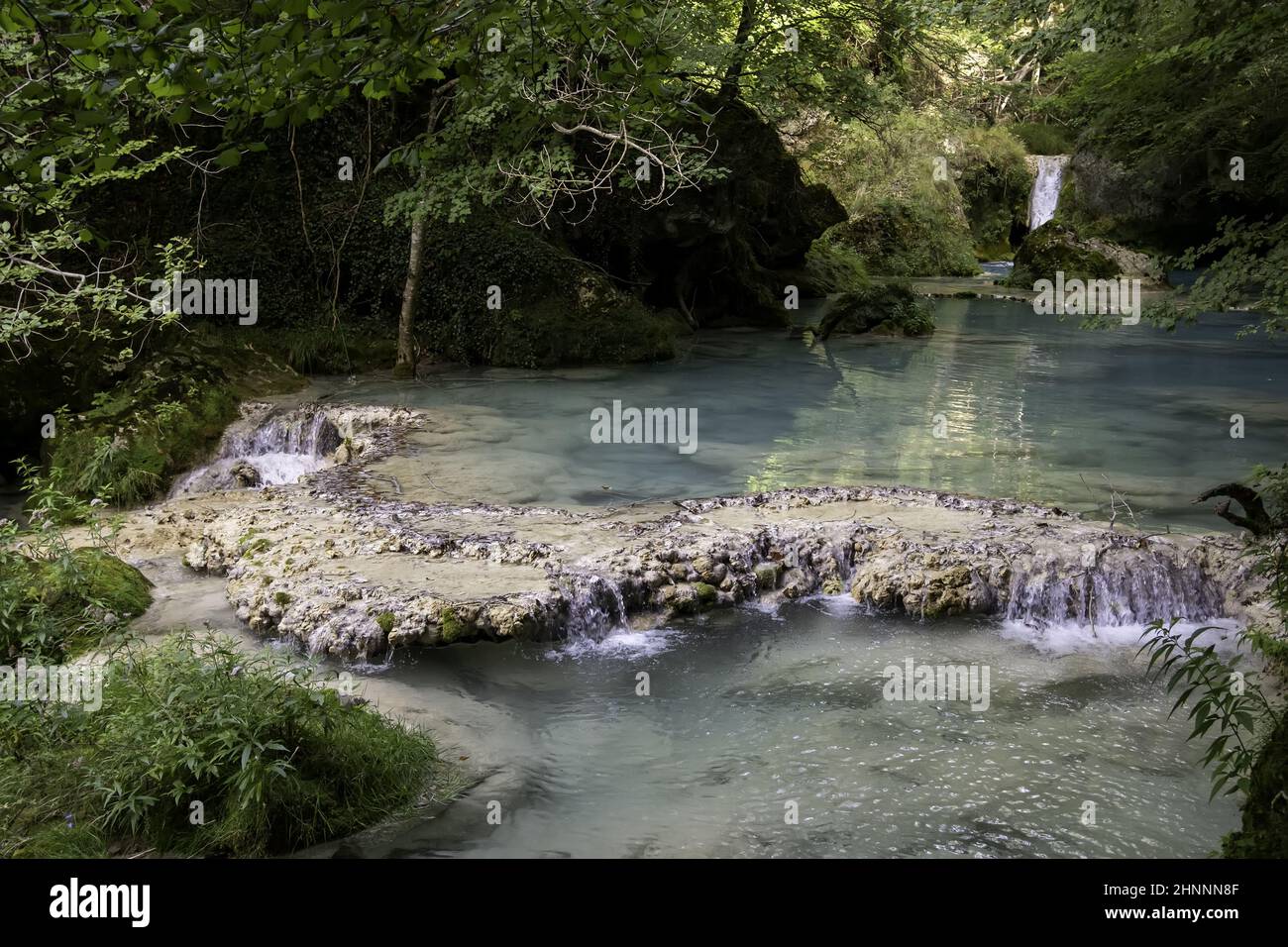 Detail of crystal clear spring water in a wild forest, nature Stock ...
