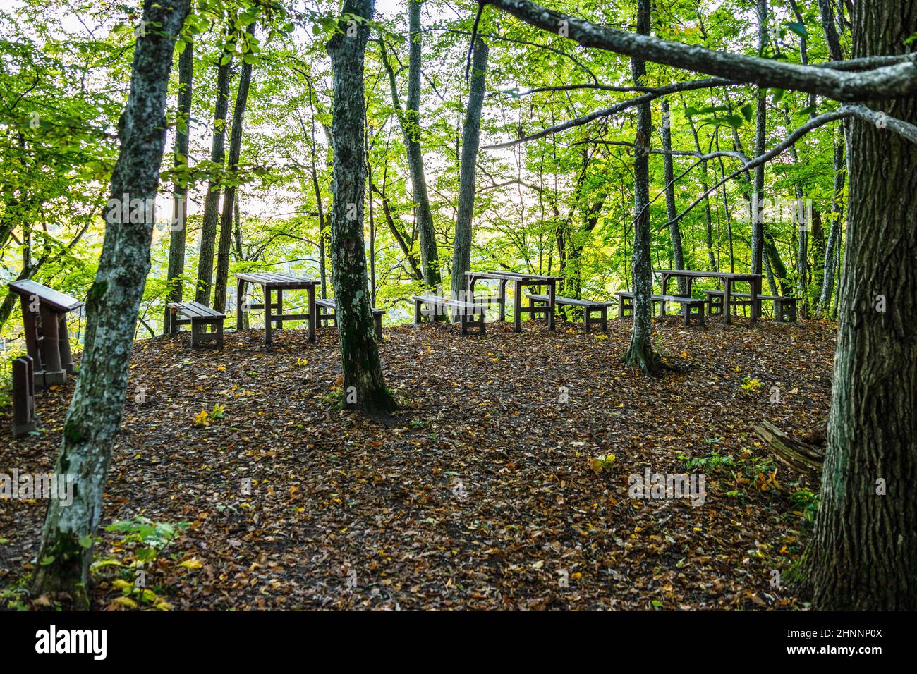 Picnic Area with Wooden Bench Tables and Chairs in the Forest Stock ...