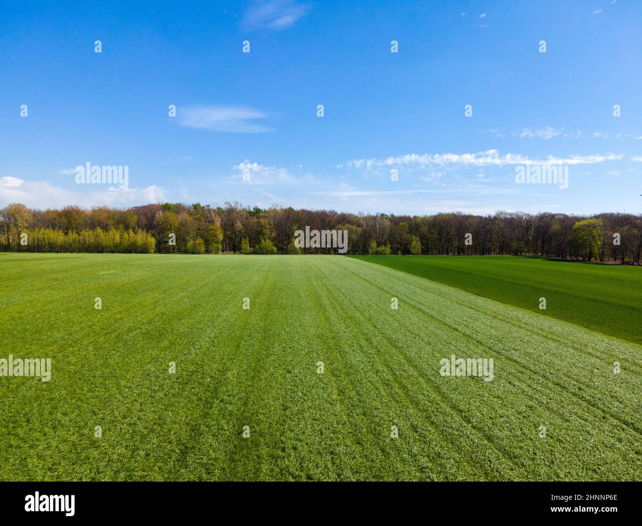 Aerial view of agricultural fields. Fields from above Stock Photo - Alamy