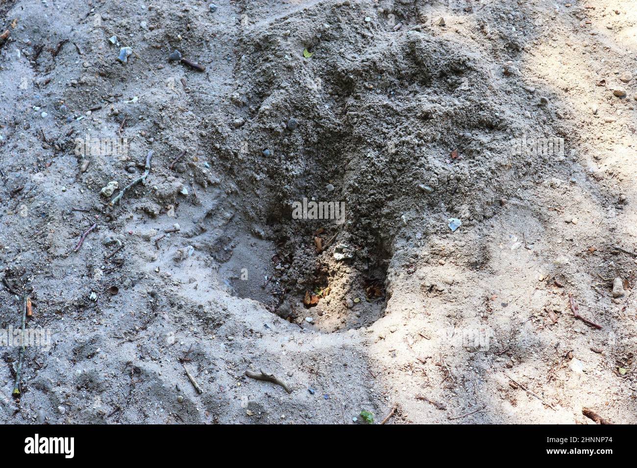 Detailed close up view on a brown sand ground texture in high ...