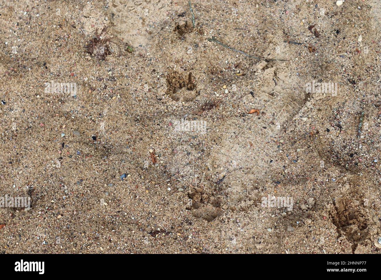 Detailed close up view on a brown sand ground texture in high ...