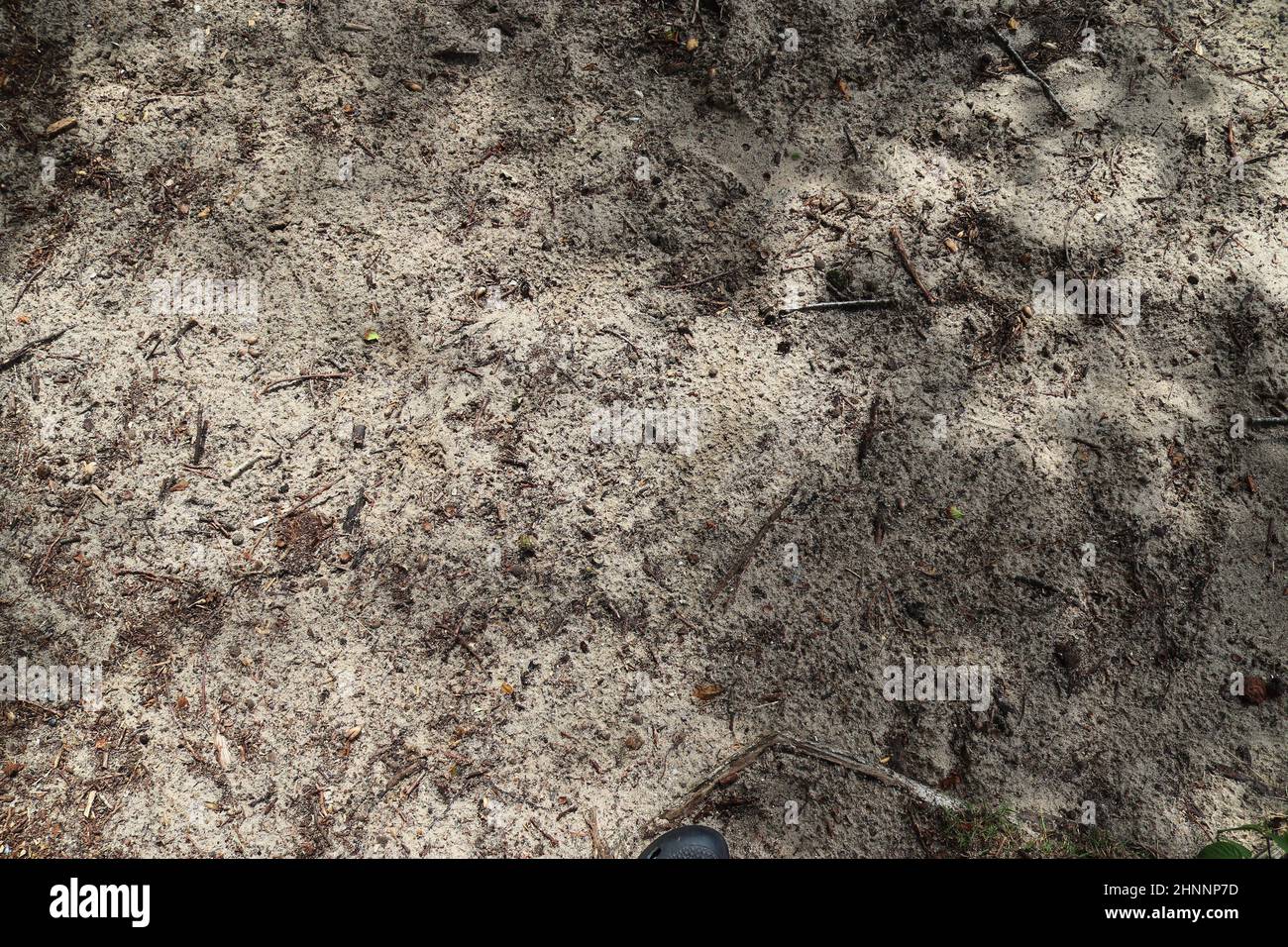 Detailed close up view on a brown sand ground texture in high ...