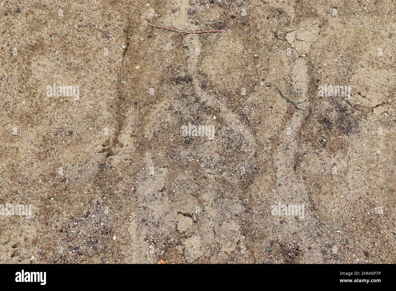 Detailed close up view on a brown sand ground texture in high ...