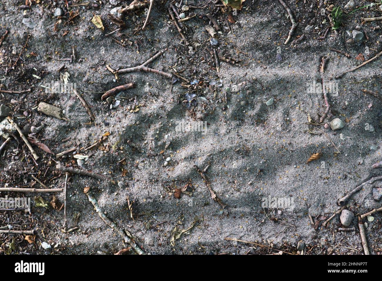Detailed close up view on a brown sand ground texture in high ...