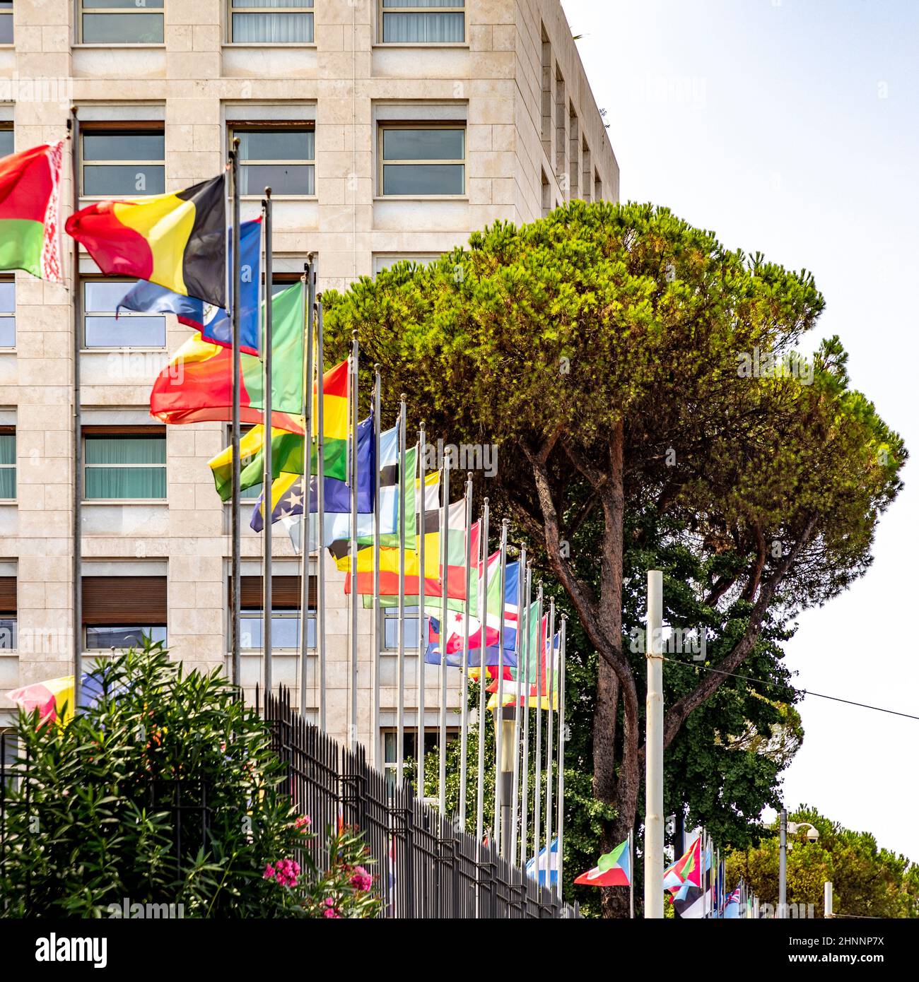 Flag of United Nations and participating contries with UN building in ...