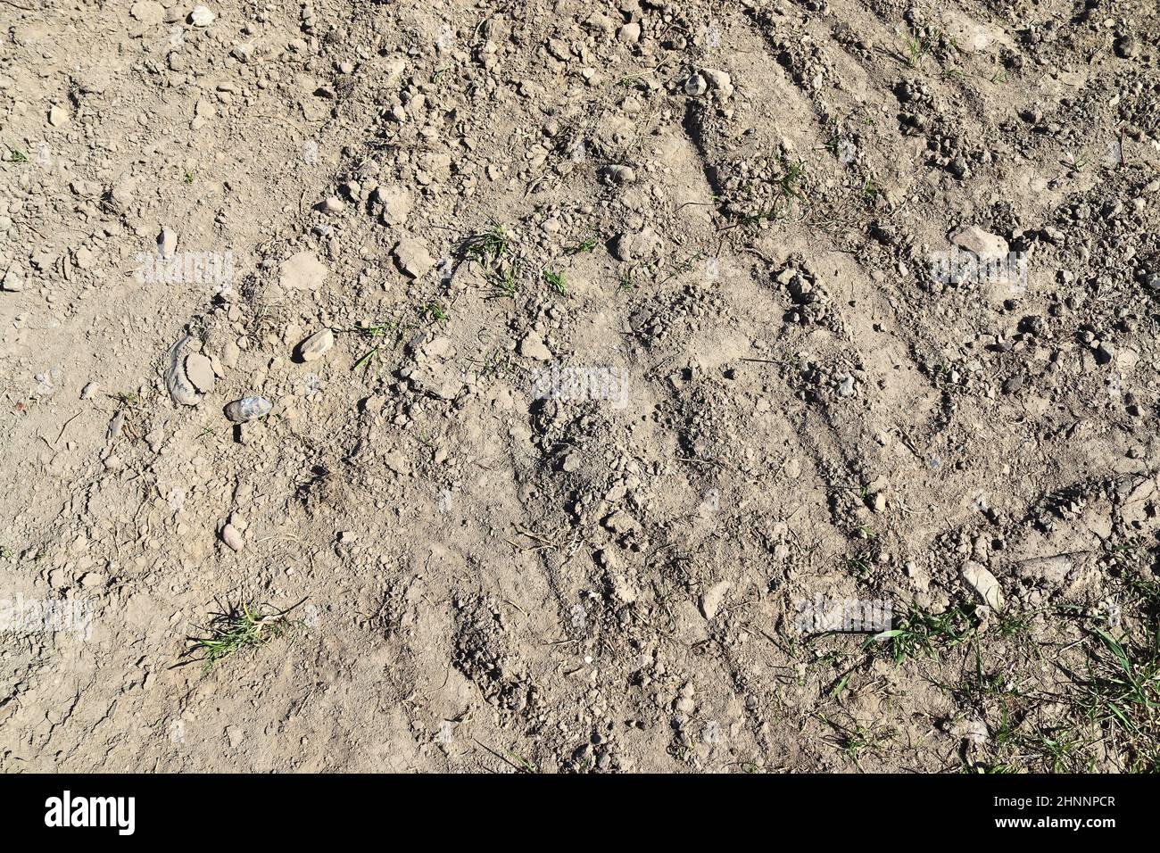 Detailed close up view on a brown sand ground texture in high ...