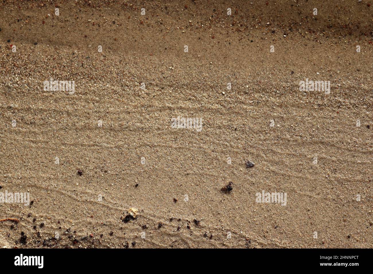 Detailed close up view on a brown sand ground texture in high ...