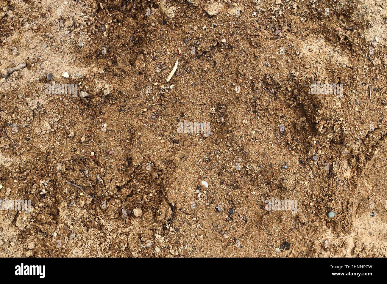 Detailed close up view on a brown sand ground texture in high ...
