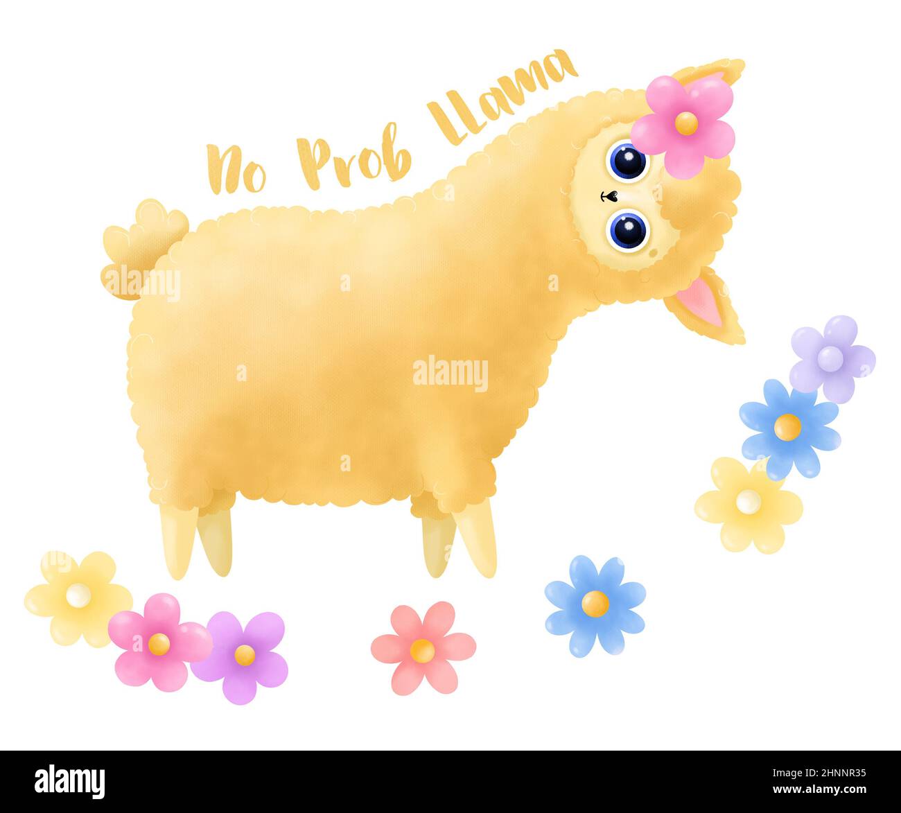 Beautiful lama Cut Out Stock Images & Pictures - Alamy