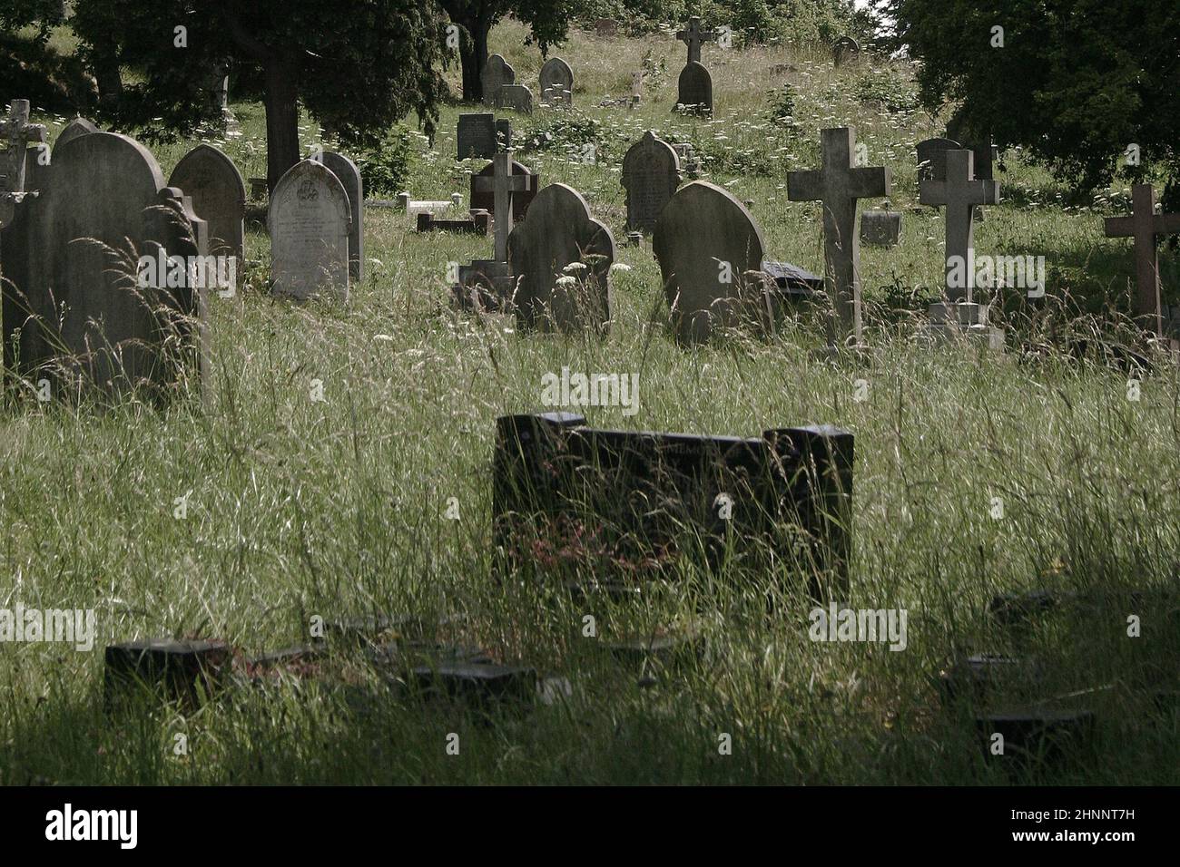 Graveyard with weeds depicting isolation and loneliness Stock Photo - Alamy