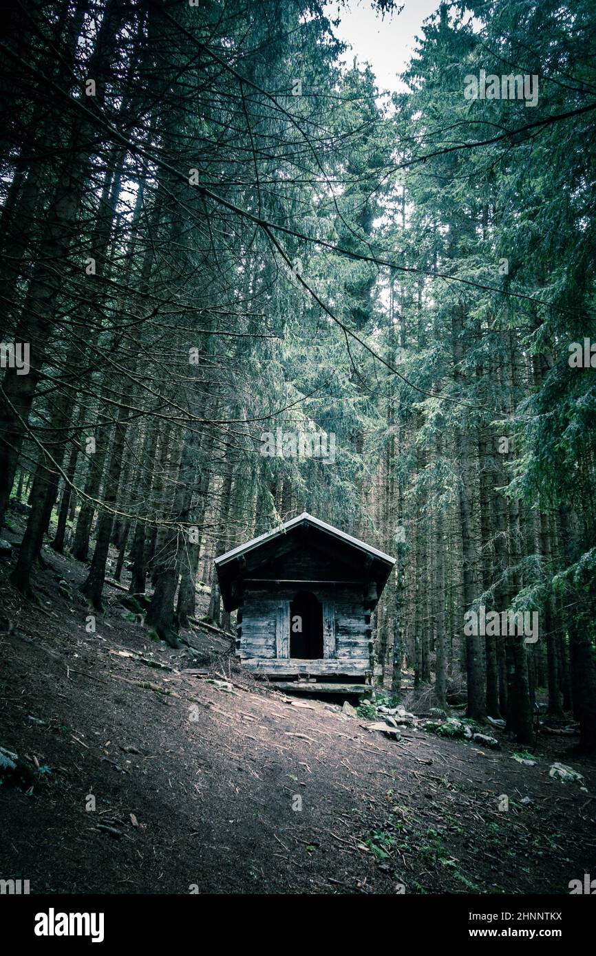 Small abandoned wooden cabin in a deep dark fir forest Stock Photo - Alamy