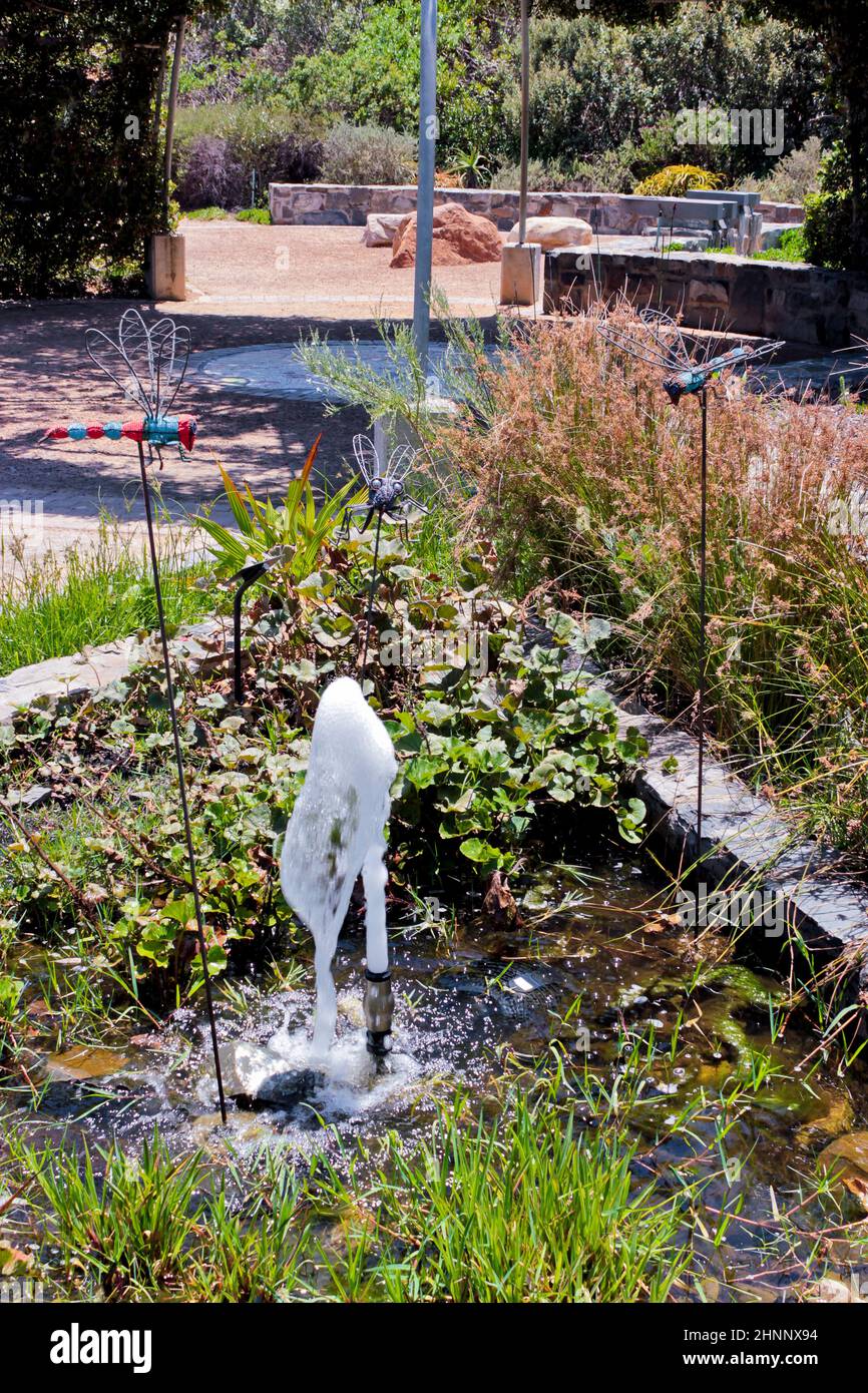 Decorative insect the garden, flowerbed. Spider, dragonfly, cockroach ...