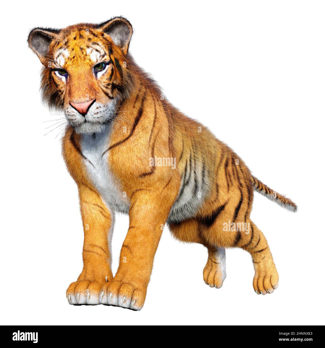 3D rendering of a big cat tiger isolated on white background Stock ...