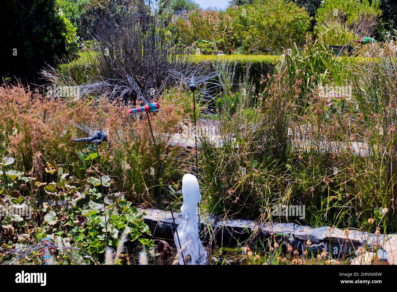 Decorative insect the garden, flowerbed. Spider, dragonfly, cockroach ...