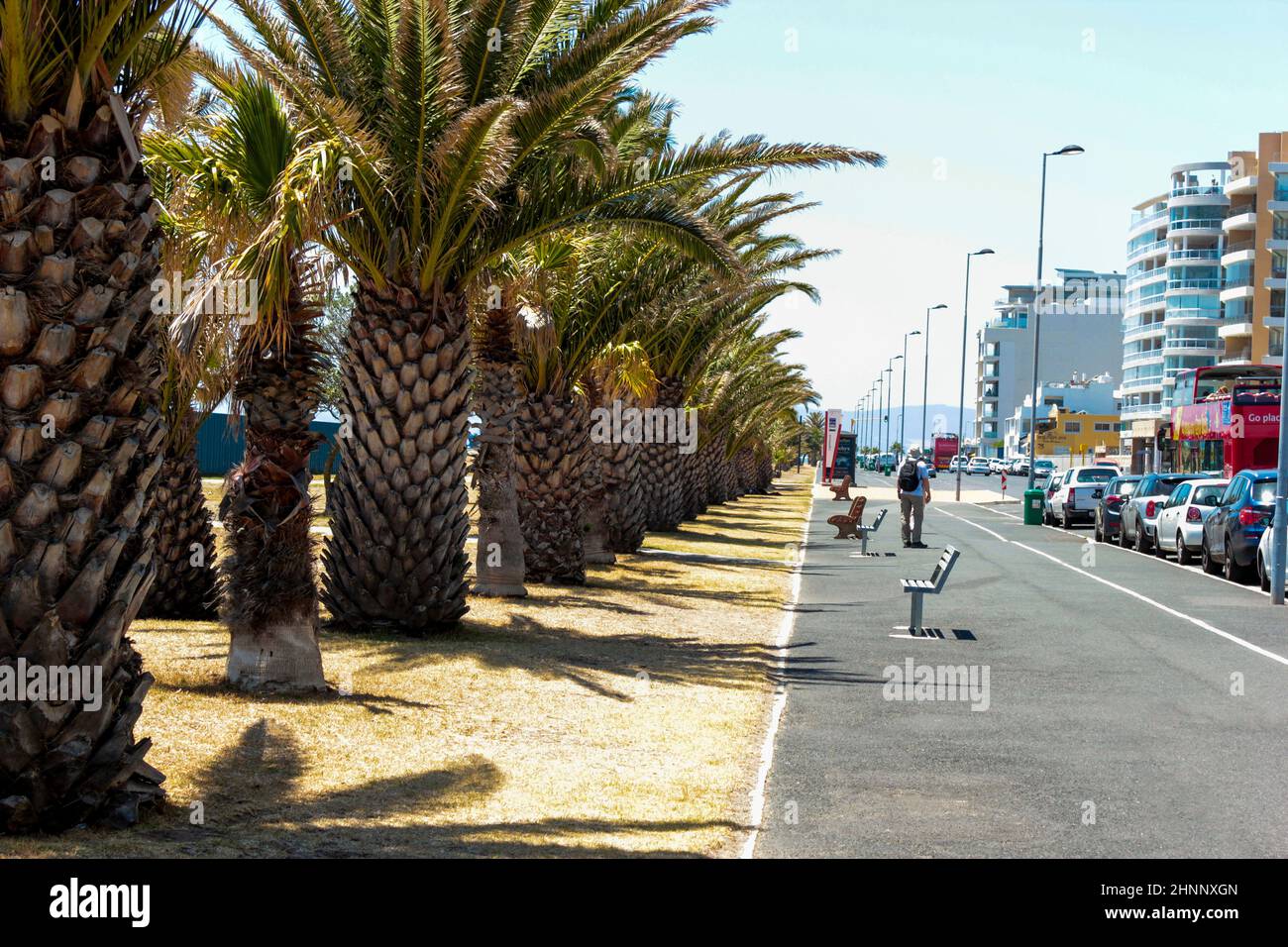 Street in Mouille Sea Point promenade, Cape Town, South Africa Stock ...
