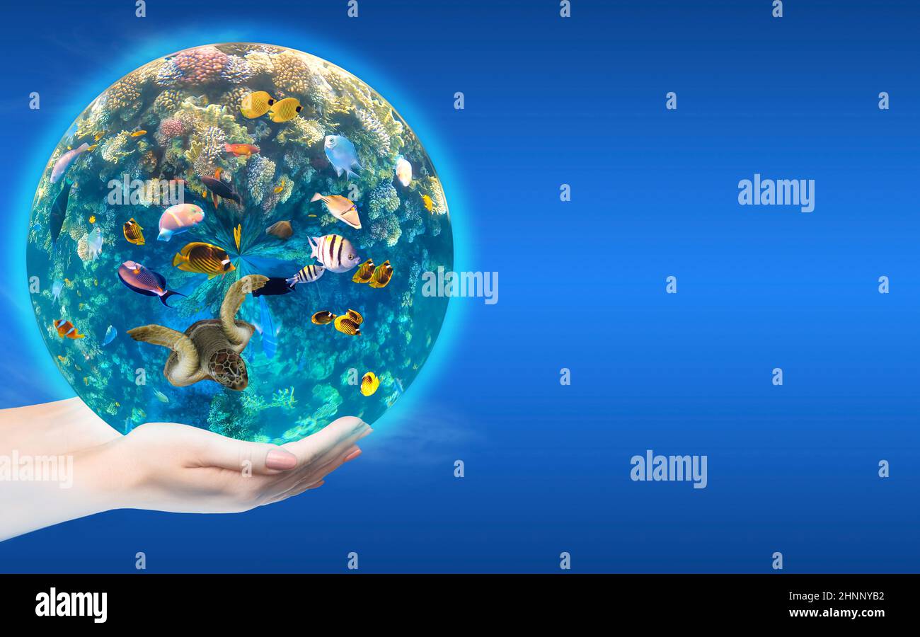 World globe in human hi-res stock photography and images - Alamy