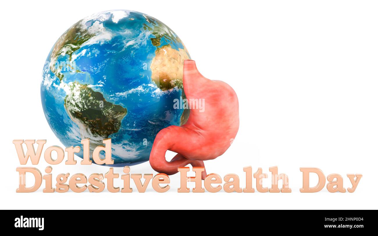 World Digestive Health Day concept. Human stomach with Earth Globe, 3D ...