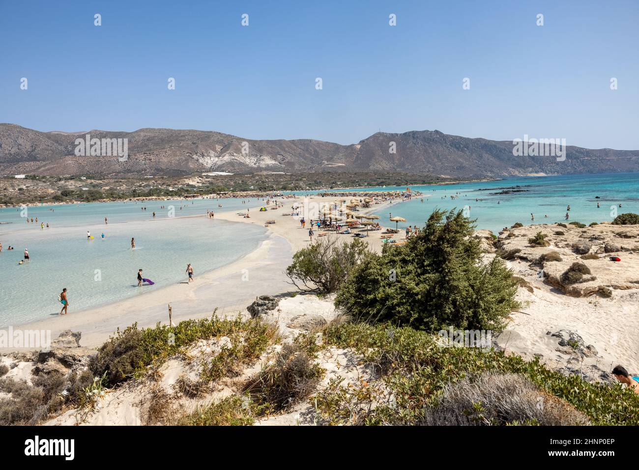 People relaxing on the famous pink coral beach of Elafonisi on Crete ...
