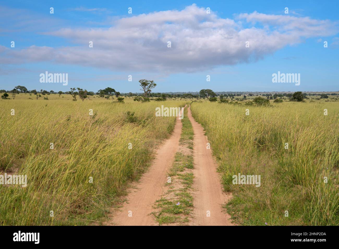 Panoramic scenic view into the landscape of Murchison Falls National ...