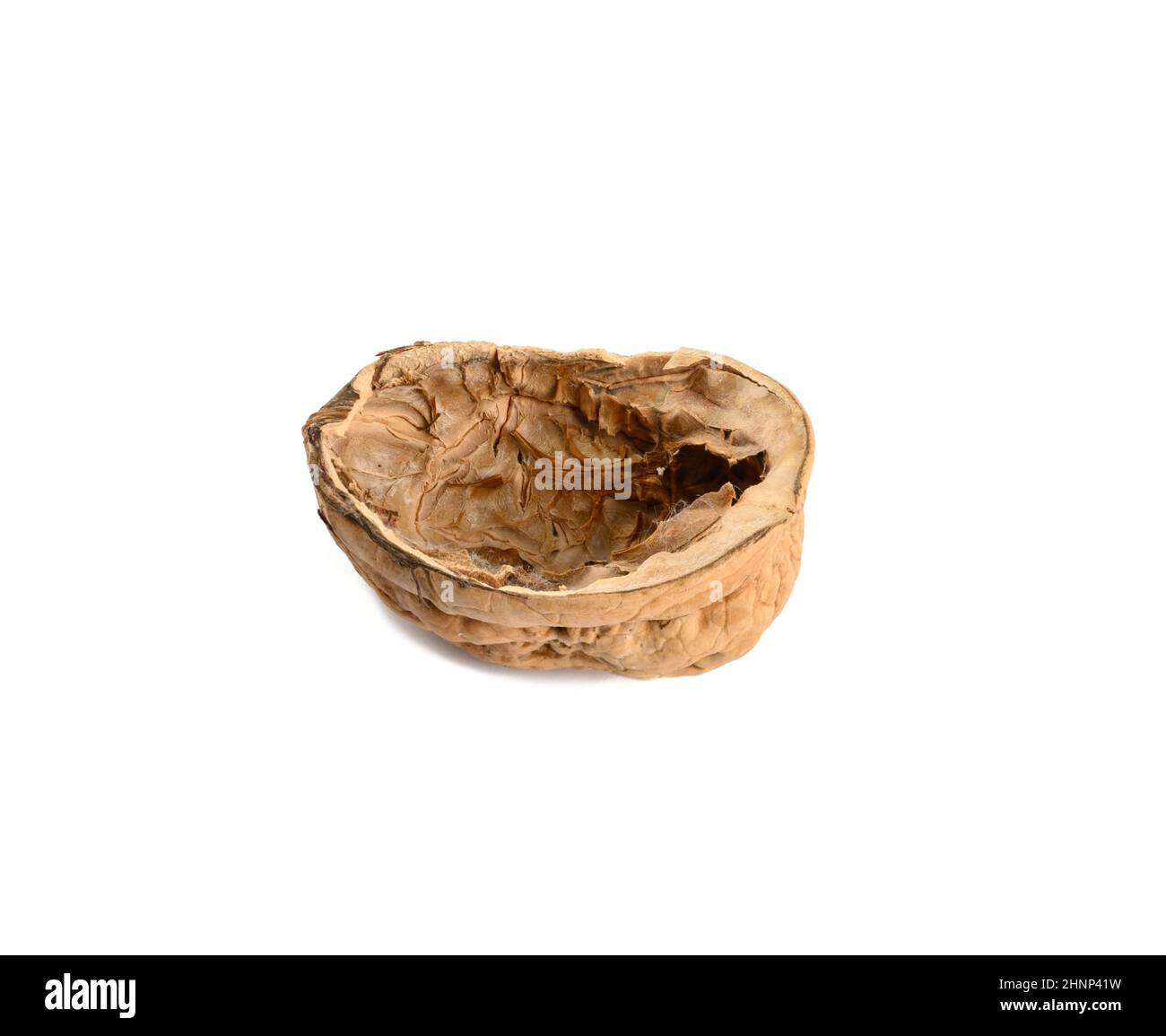 walnut shell isolated on white background Stock Photo - Alamy