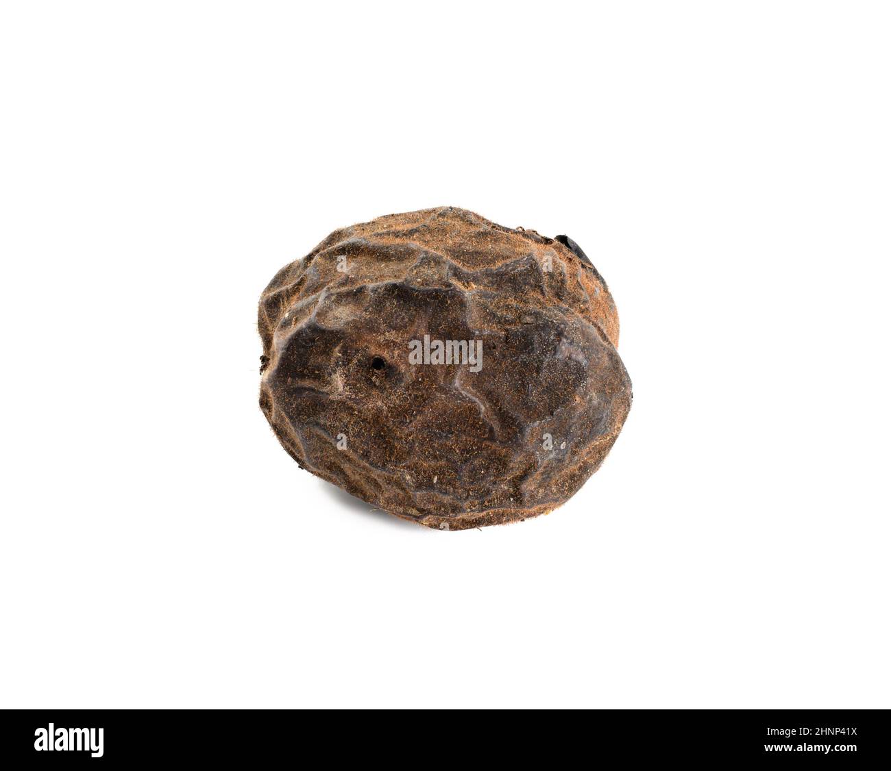 nut in dry brown shell isolated on white background Stock Photo - Alamy