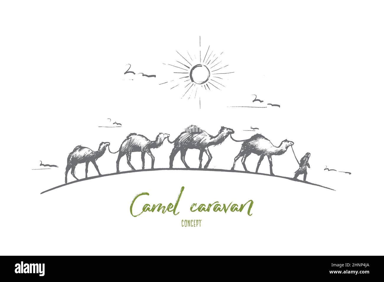 Camel caravan concept. Hand drawn camels walk through the desert. Camel ...