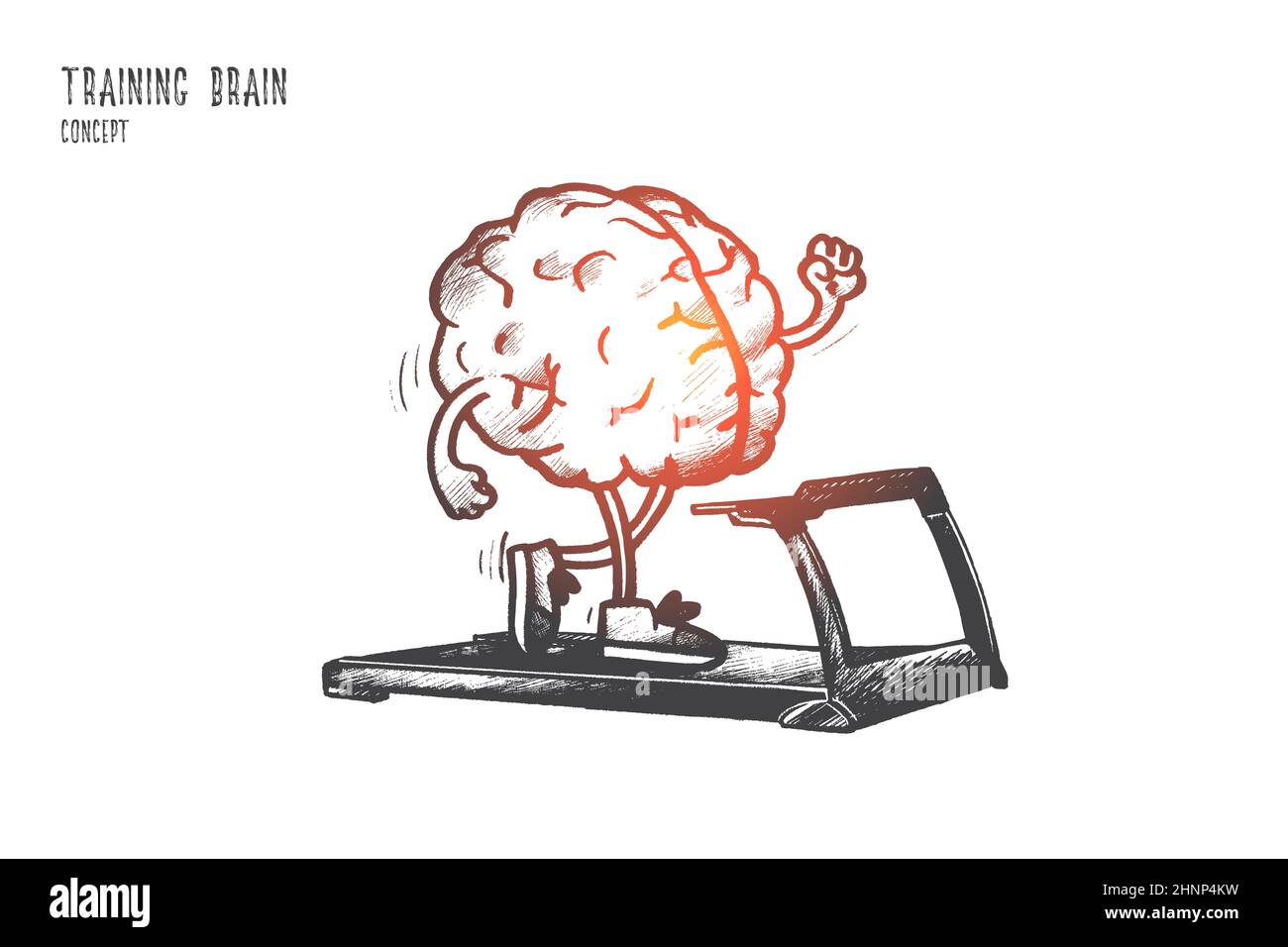 Training brain concept. Hand drawn human brain training on running ...