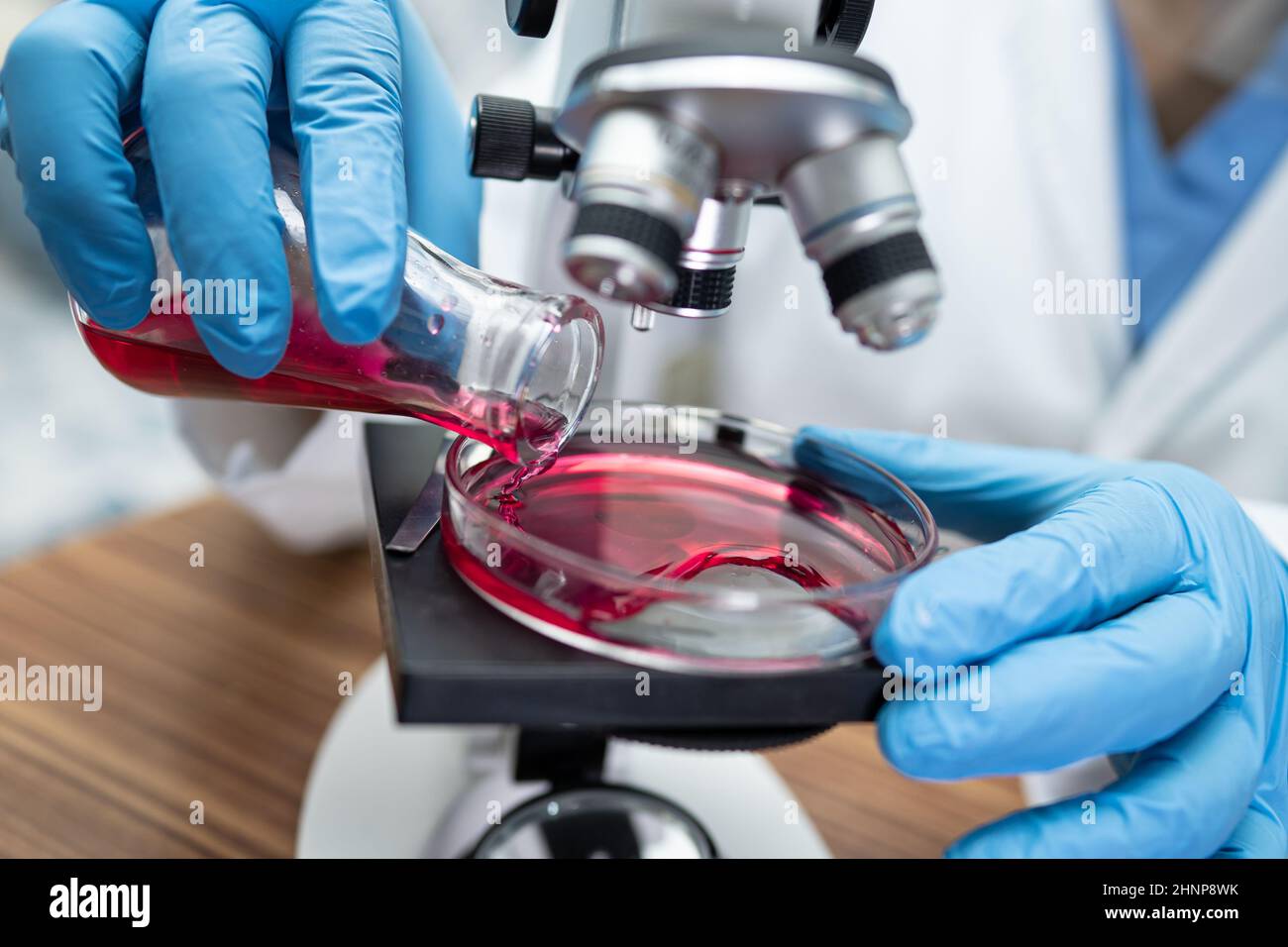 Asian scientist biochemist or microbiologist working research with a ...