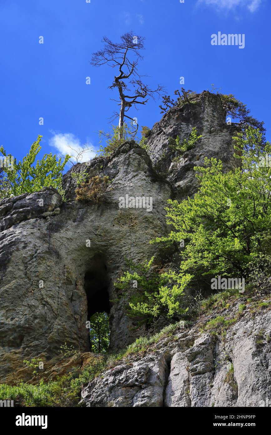 The natural stone bridge or arch is a wonder of nature and was created ...