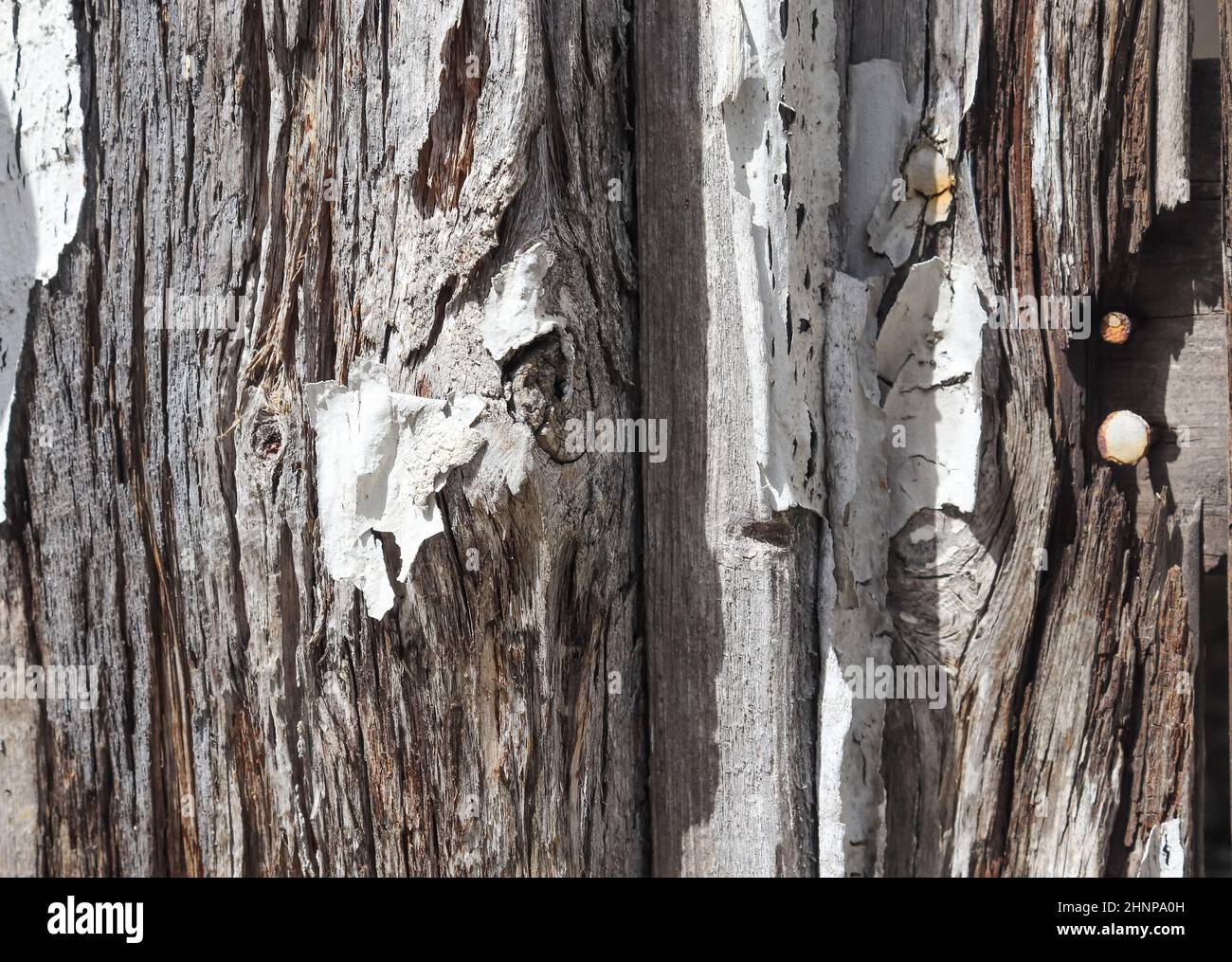 Detailed close up view on different wood surfaces showing planks logs ...