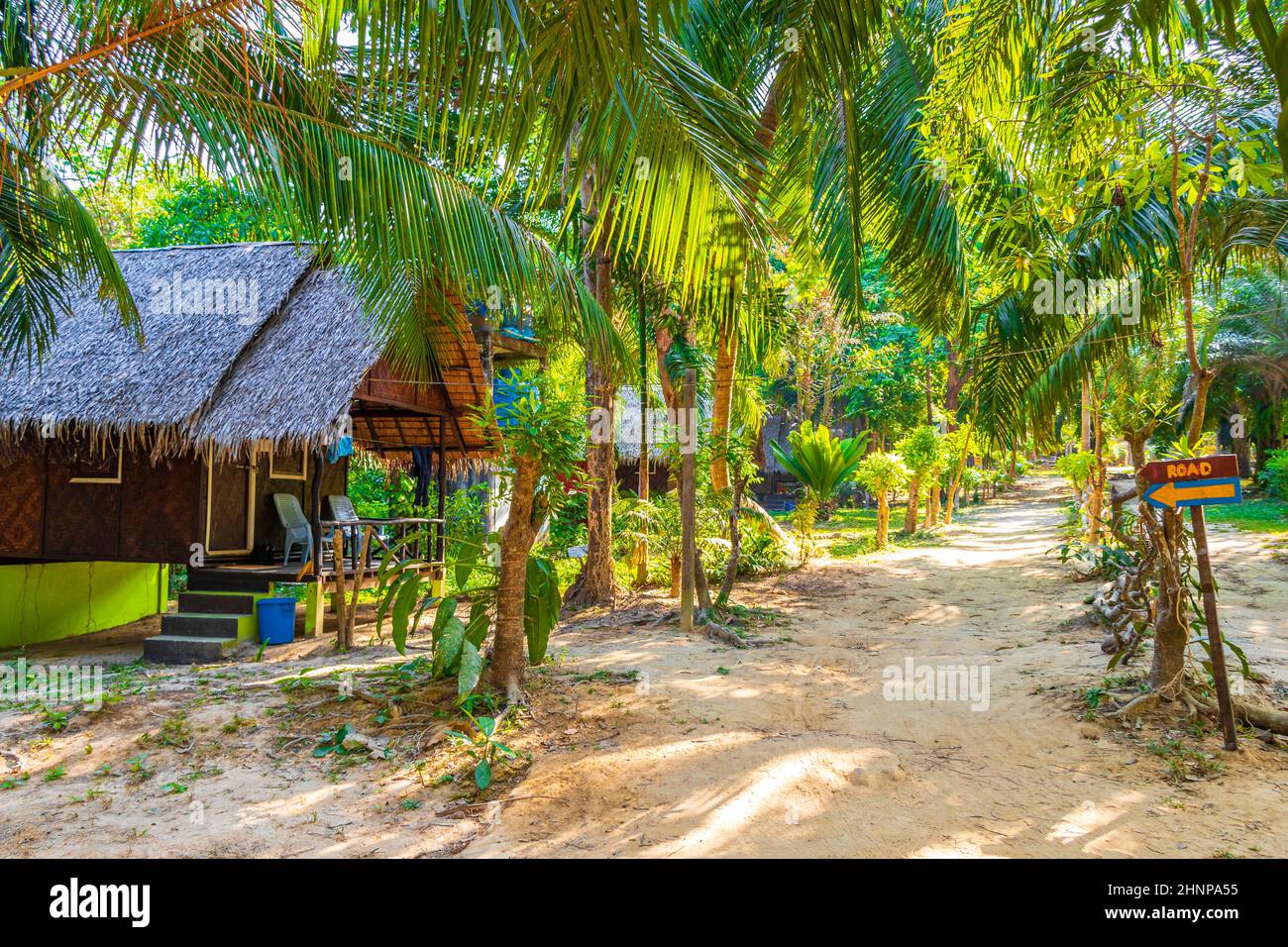 Jungle Tropical Resort Wallpaper