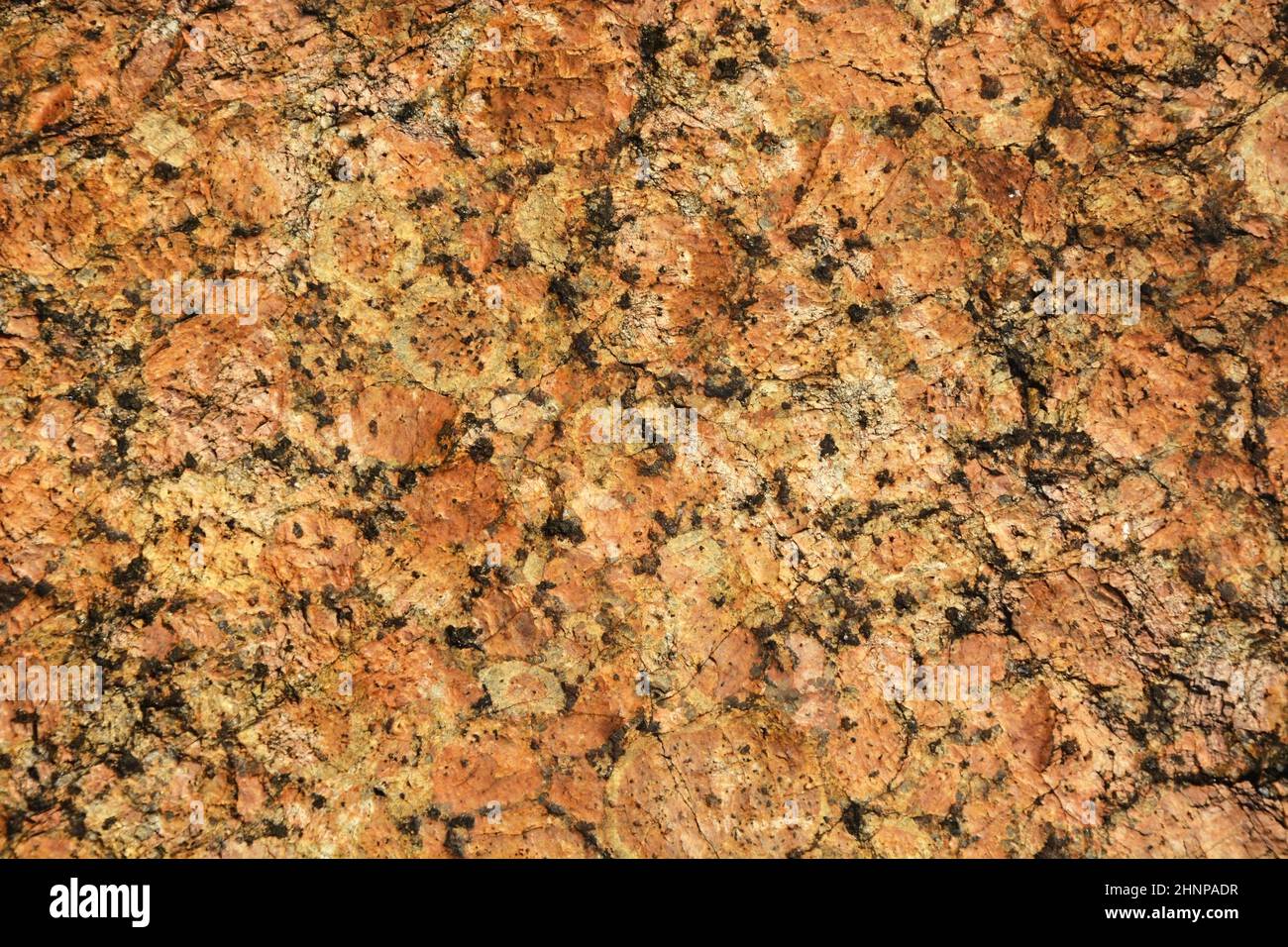 Seamless granite texture. Closeup view. Picture can be used as a ...