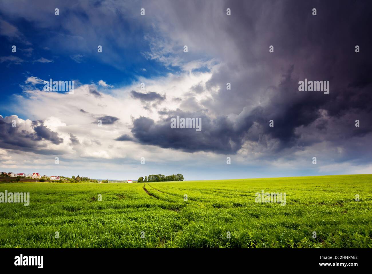 Fantastic green field at the dramatic overcast sky. Ukraine, Europe ...