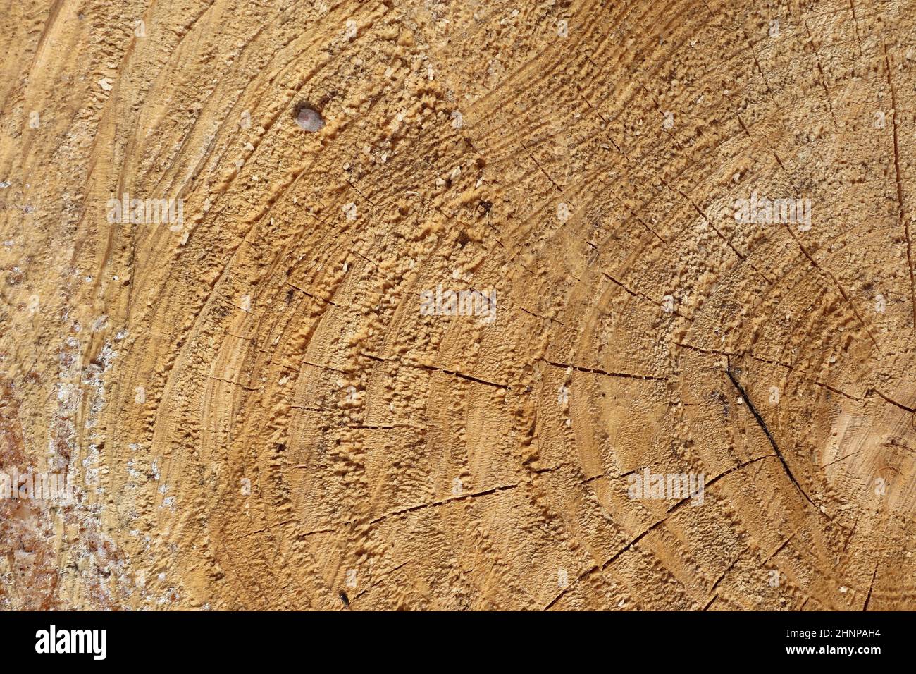 Detailed close up view on different wood surfaces showing planks logs ...