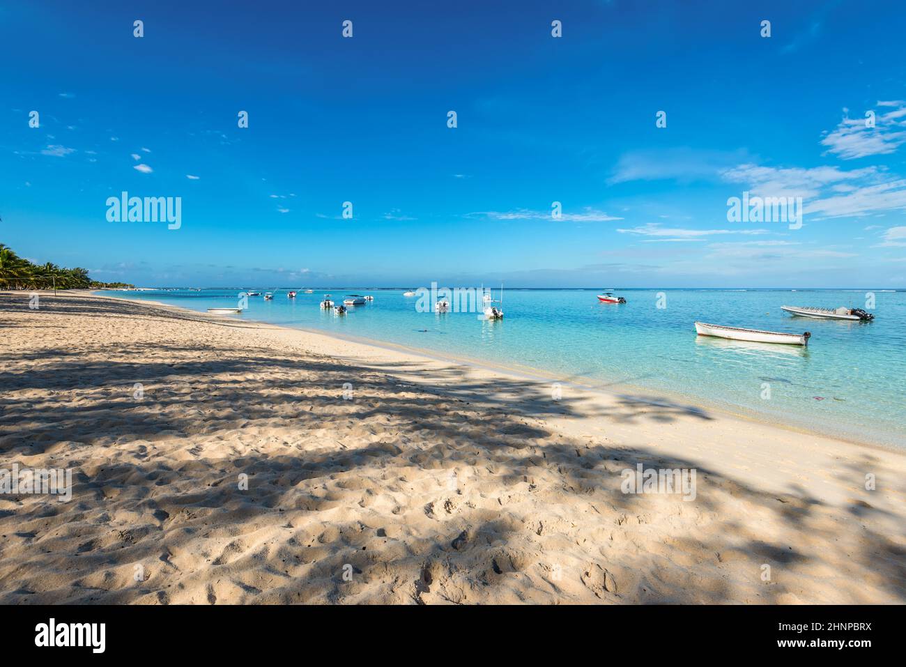 Tropical shady beach Stock Photo - Alamy