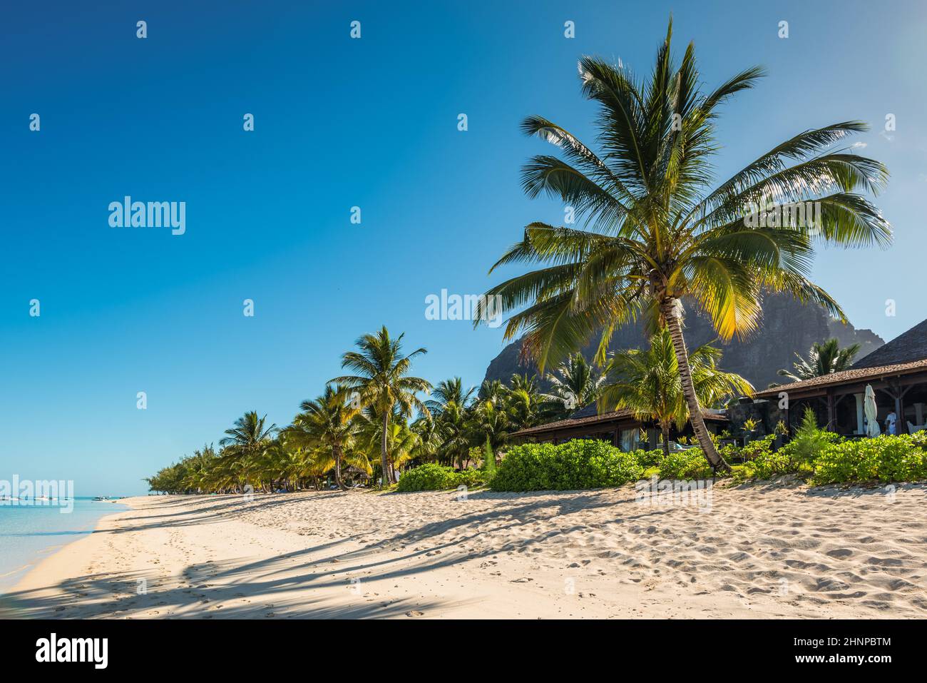 Relaxing holidays in tropical paradise. Mauritius island Stock Photo ...