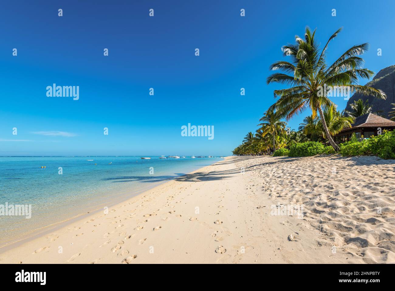 Tropical paradise island mauritius hi-res stock photography and images ...