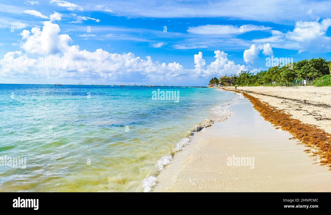 Tropical mexican beach panorama Playa 88 Playa del Carmen Mexico Stock ...
