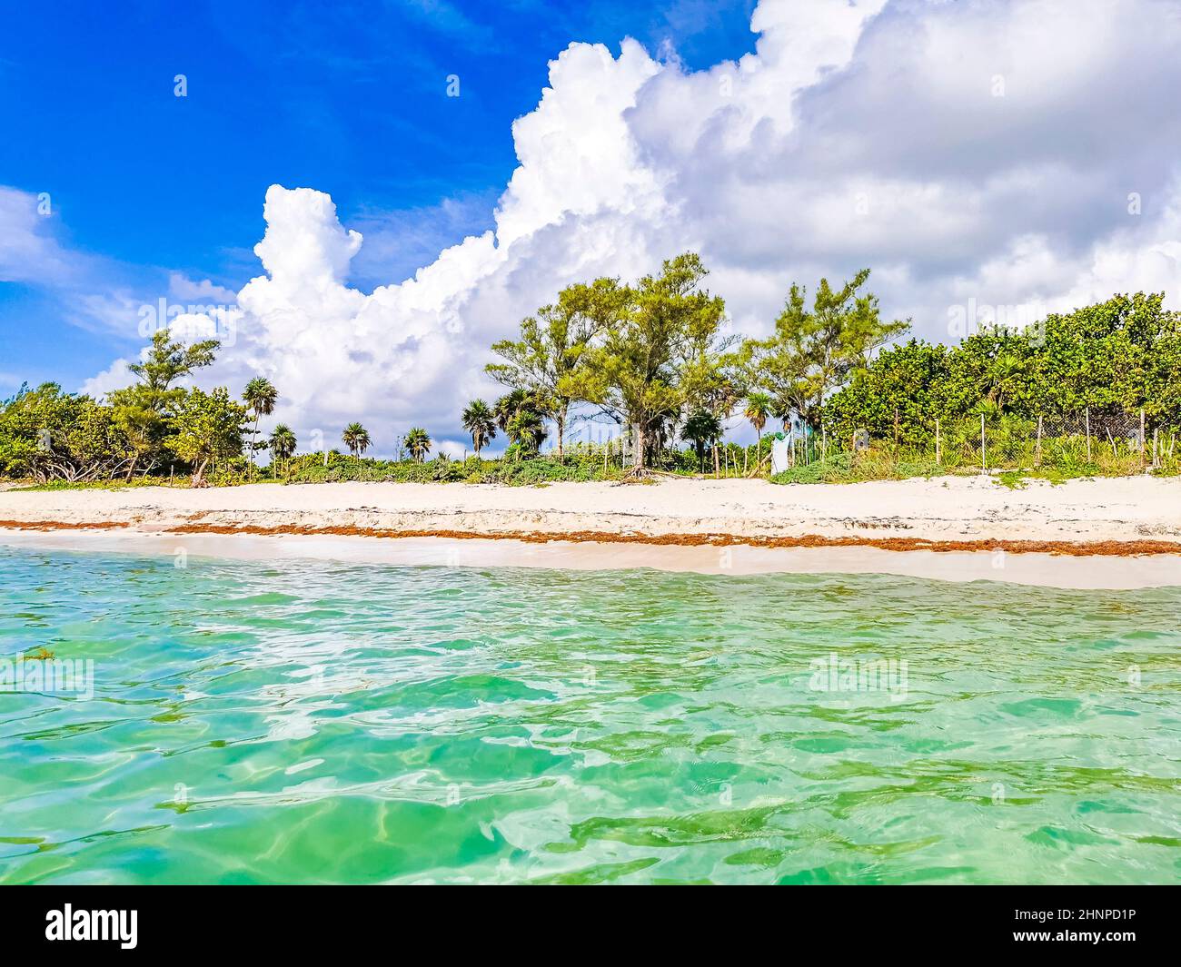 Tropical mexican natural beach with forest Playa del Carmen Mexico ...